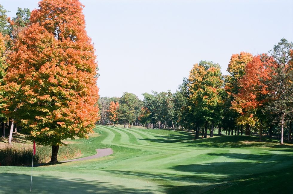 Recreation|Village of Luck